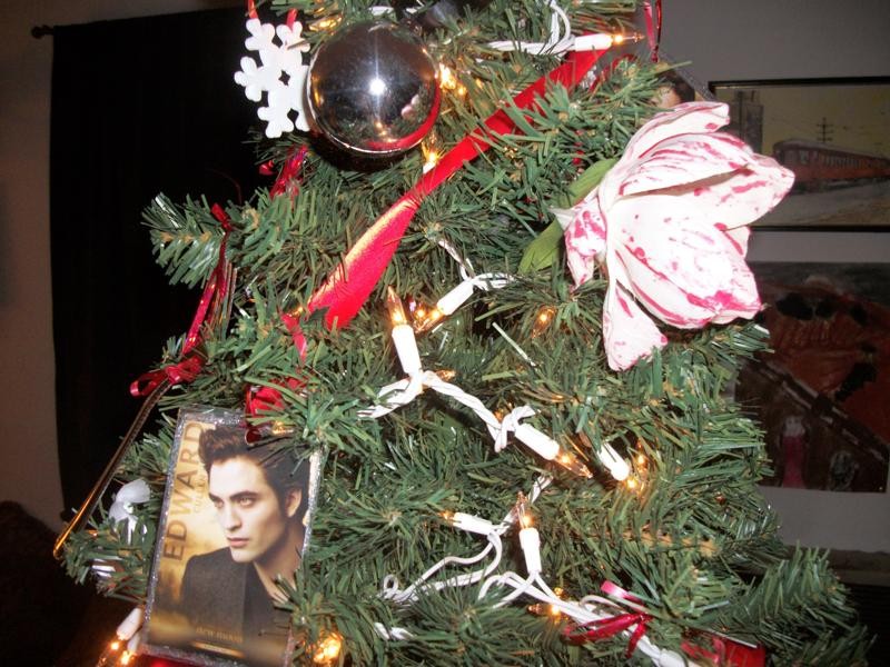 TWILIGHT NEWS FOR DEC 26: CHRISTMAS DECORATIONS, BREAKING DAWN FILMING ...