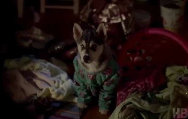 emma – Book Reviews | Open Book Society