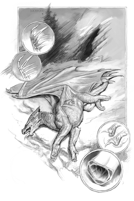 Dead Dragon – Book Reviews | Open Book Society